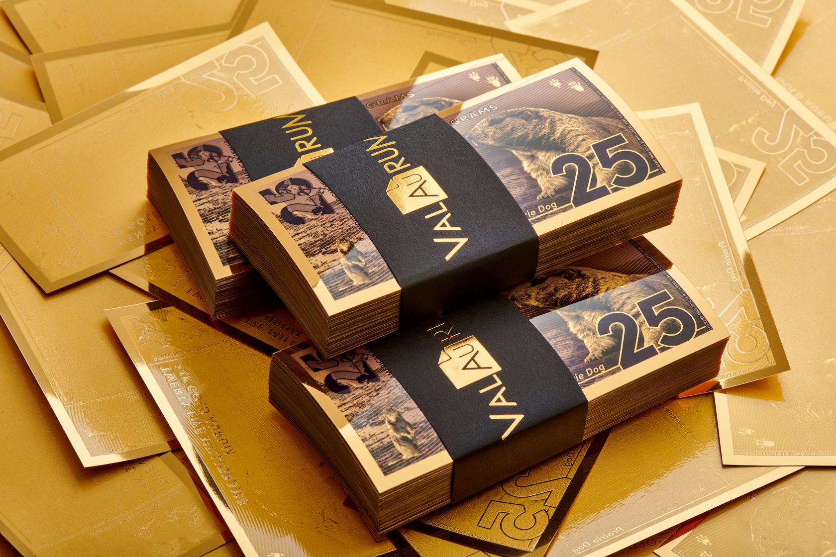 Stack Gold with these Unique 24k Gold Bills – The Gold Domain