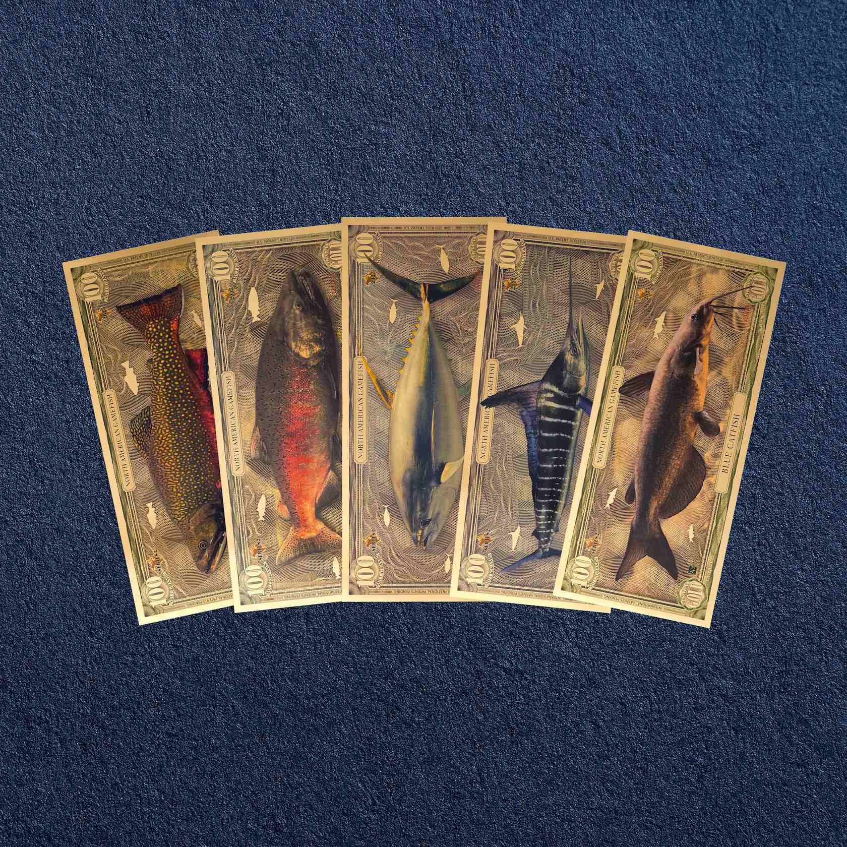 North American Game Fish 24k Gold Bills – The Gold Domain