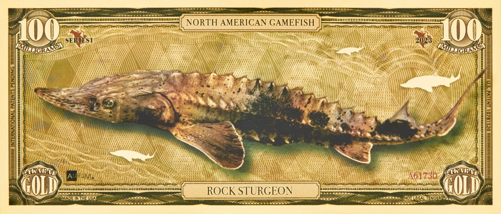 North American Game Fish Aurum® 24k Gold Series Set – The Gold Domain